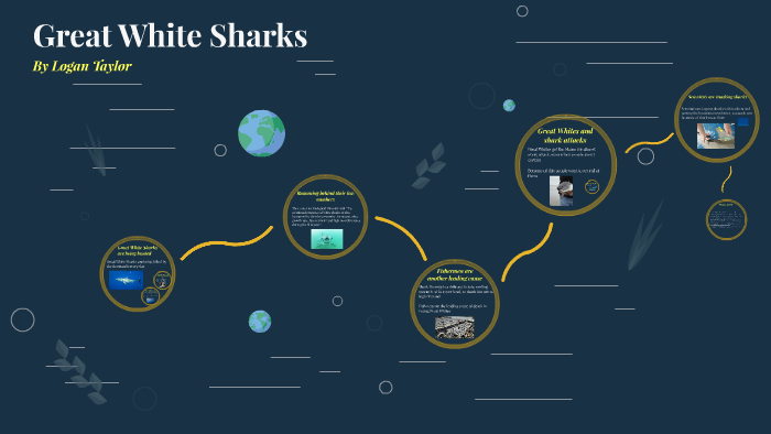 Great White Sharks by on Prezi