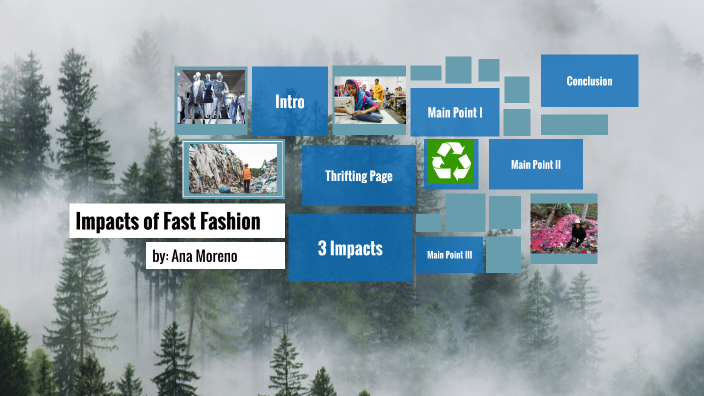 Fast Fashion Presentation by Ana Moreno on Prezi