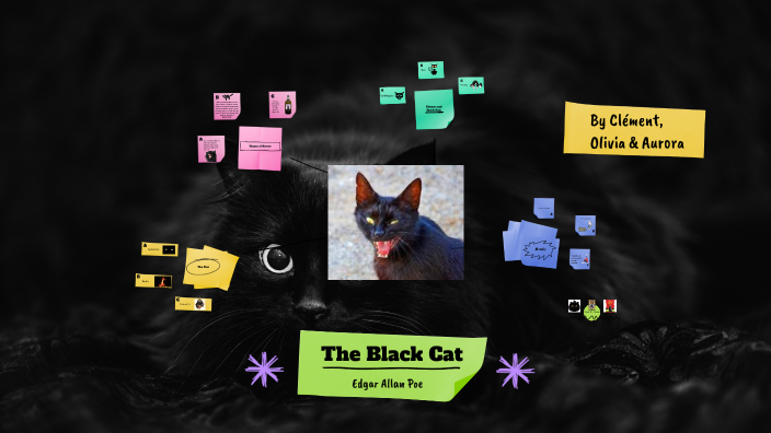 Black Cat by Clément Cros Lacoste on Prezi