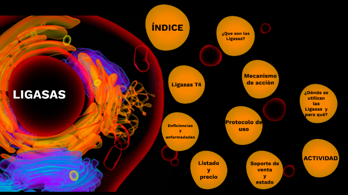 LIGASAS by PAOLA GÓMEZ SAMPEDRO on Prezi
