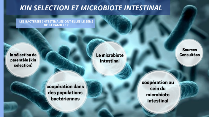 kin selection et microbiote intestinal by nourchen abidi on Prezi