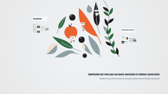 Optimisation des fruits pour une bonne valorisation et meilleure ...