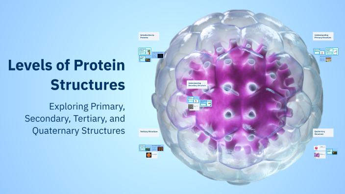 Levels of Protein Structures by Caroline Staats on Prezi