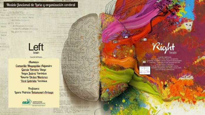 Modelo funcional Luria- Anatomía y Fisiología by Verónica Reyes Juárez on Prezi