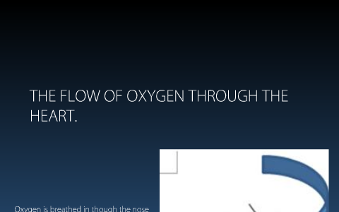 The path of oxygen through the heart. by Gillian Lant on Prezi
