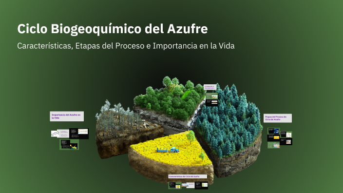Ciclo Biogeoquímico del Azufre by carolina Amaro on Prezi