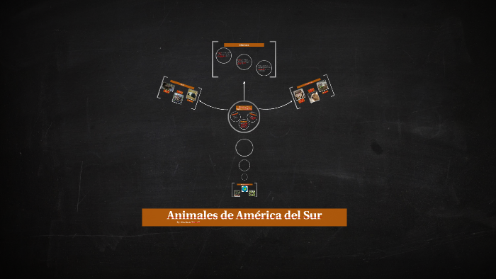 Animales de América del Sur by Madison Pennell on Prezi