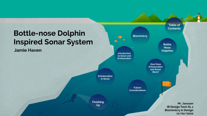 Bottlenose Dolphin Inspired Sonar System by James Haven on Prezi
