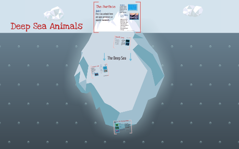 Deep Sea Pressure: Animals by Bryce Chan on Prezi