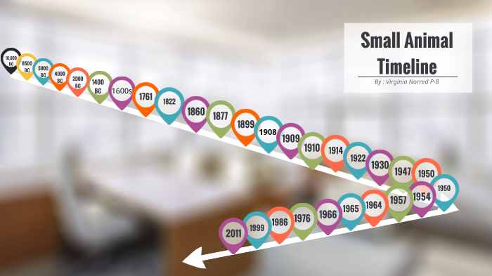 Small Animal Timeline by Virginia Norred on Prezi