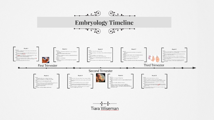 Embryology Timeline by Tiara Wiseman on Prezi