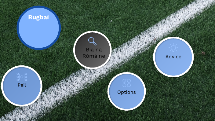 Romanian History/Istoria Romaniei by Demetrius Jamal bartholamew king ...