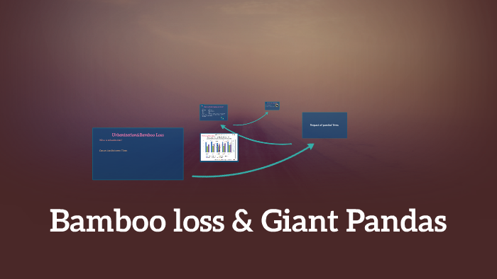 Effects of Bamboo loss by Daulton Rutherford