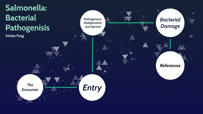 Salmonella: Bacterial Pathogenesis by Vivian Fung on Prezi