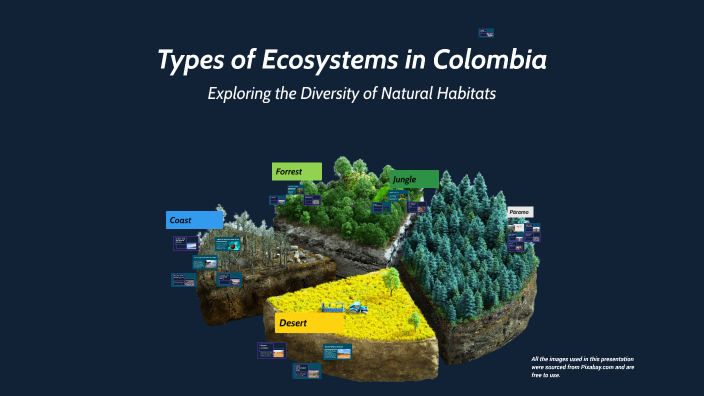 Types of Ecosystems in Colombia by Brayan Amor Borja on Prezi
