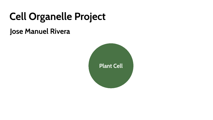Cell Organelle Project by Jose Rivera on Prezi