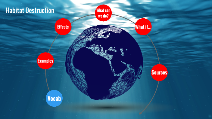 Habitat Destruction by Natalie Ransom on Prezi