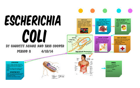 Science E.Coli Project by Garrett Agans on Prezi
