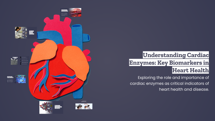 Understanding Cardiac Enzymes: Key Biomarkers in Heart Health by salma ...