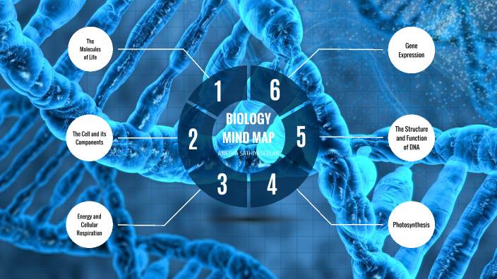Biology - Mind Map by Anetha Sathiyaseelan on Prezi