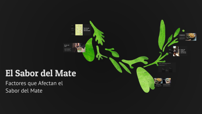 El Sabor del Mate by Florencia on Prezi