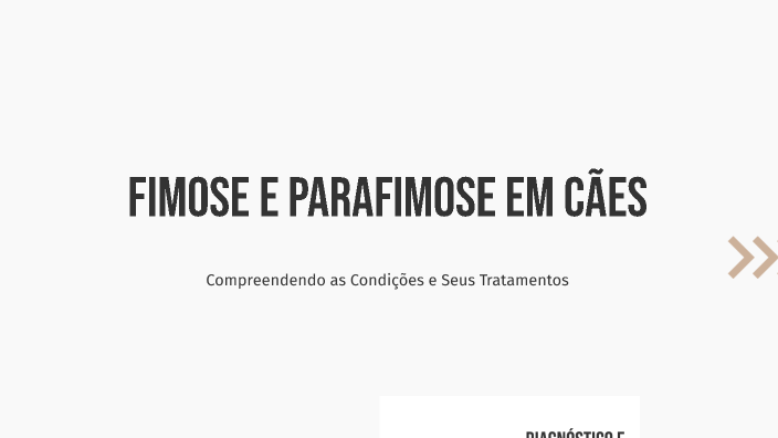 Fimose e Parafimose em Cães by Elisabeth Garrido on Prezi