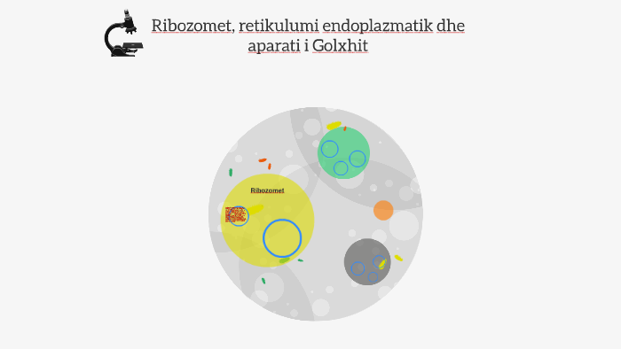 Ribozomet, retikulumi endoplazmatik dhe aparati i Golx by Era R. on Prezi