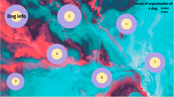 Levels of organization of a dog by jacob sowell on Prezi