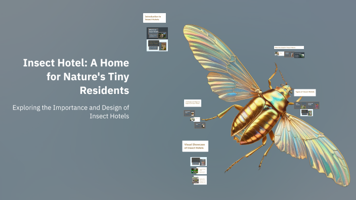 Insect Hotel: A Home for Nature's Tiny Residents by kate coco on Prezi