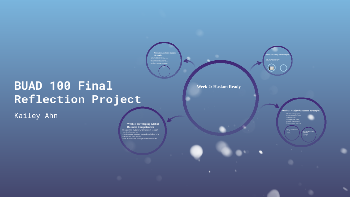 BUAD Final Reflection Project by Kailey Ahn