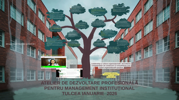 ATELIER DE DEZVOLTARE PROFESIONALĂ PENTRU MANAGEMENT INSTITUȚIONAL ...