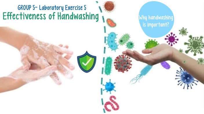Laboratory Exercise 5 - Effectiveness of Handwashing by Melanie Jade ...