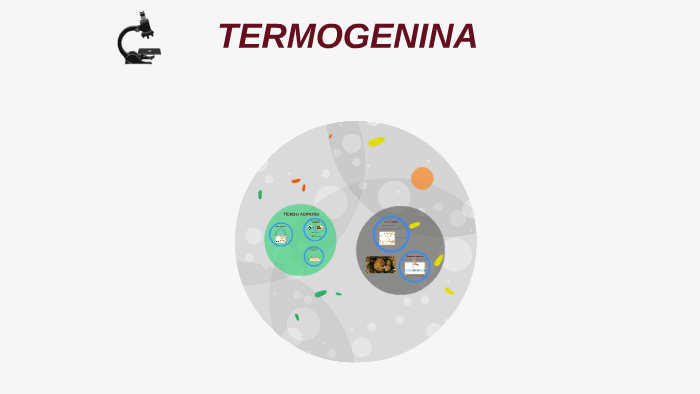 TERMOGENINA by miguel 4 on Prezi