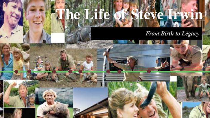 The Life of Steve Irwin by Eliza Hyett on Prezi