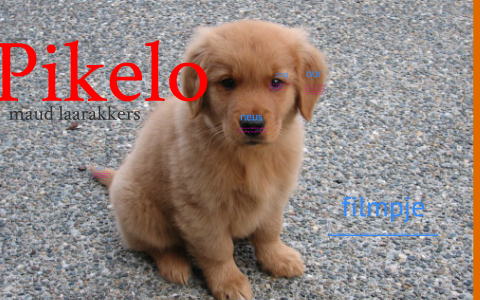 pikelo by maud laarakkers on Prezi