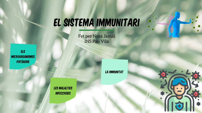 sistema immunitari1 by Nora Jamal on Prezi