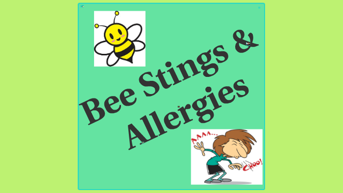 Bee Stings & Allergies by Marissa Randel on Prezi