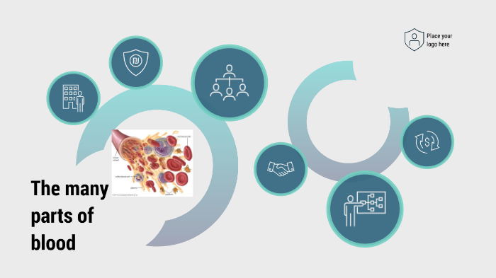 The many parts of blood by Jonathan Saint-Jean on Prezi
