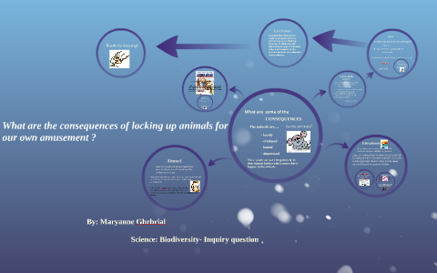 What are the consequences of locking up animals for our own by m g on Prezi