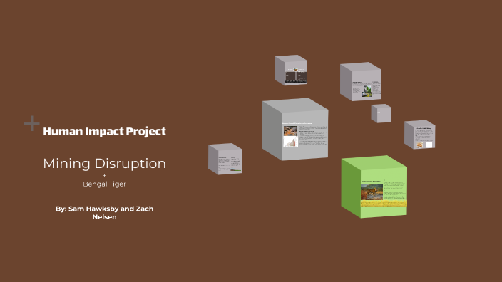 Human Impact Project-Sam Hawksby and Zach Nelsen by Samuel Hawksby on Prezi