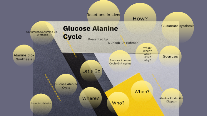 Alanine and Glucose Alanine Cycle by Muneeb Khan on Prezi