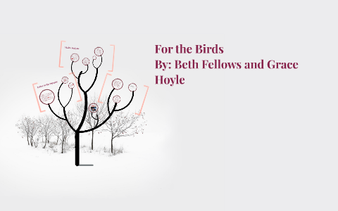 For the Birds by Grace Hoyle on Prezi