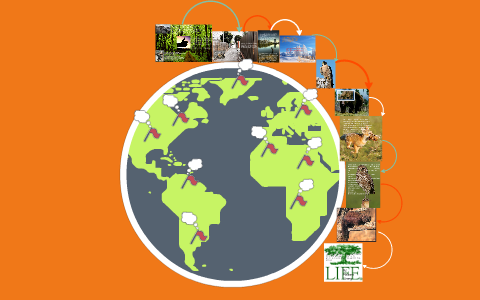 How Can I Help Animals In Need by malcom strong on Prezi