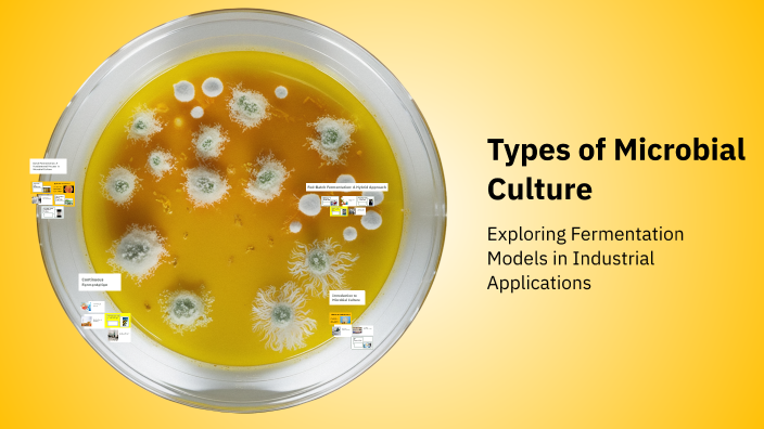 Types of Microbial Culture by Prashanth Kumar H P on Prezi