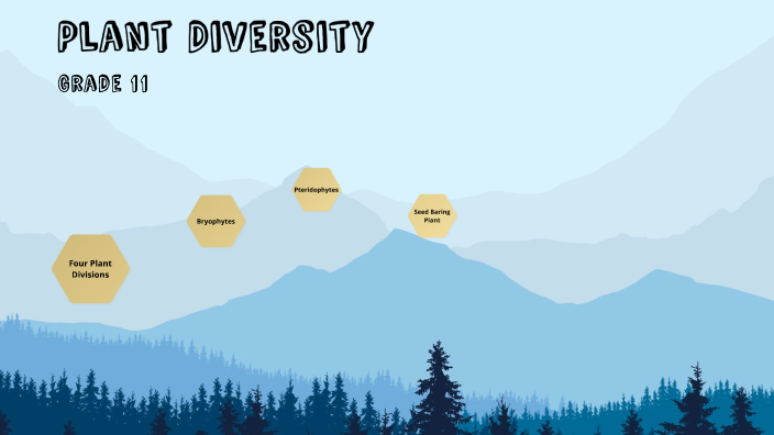 Plant Diversity Grade 11 by Devon Basson on Prezi