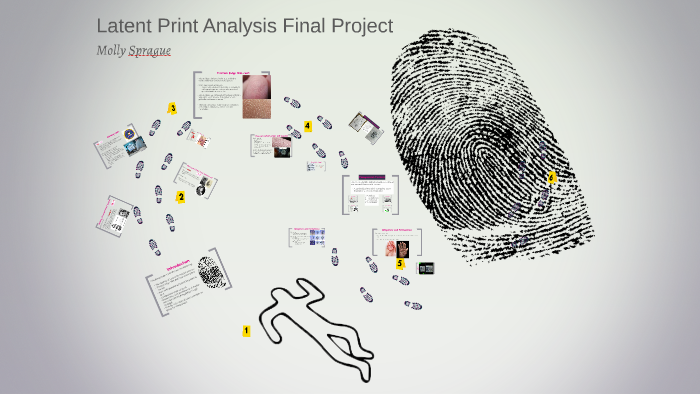Latent Print Analysis Final Project by Molly May