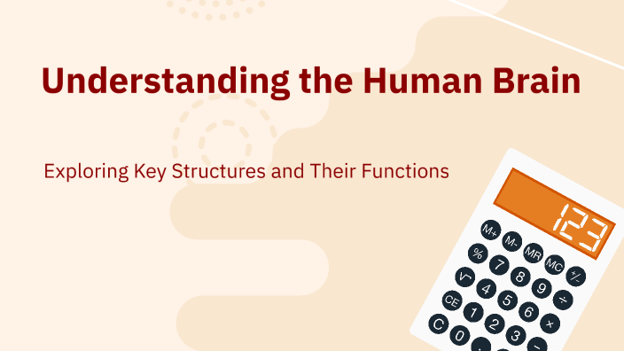 Understanding the Human Brain by Mysha Imran Bachlani on Prezi