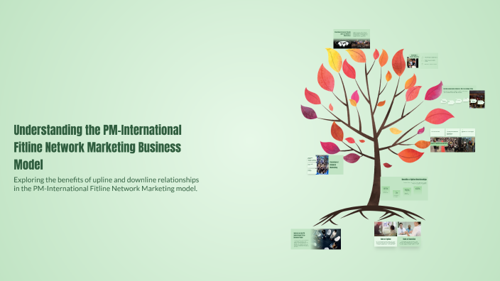 Understanding the PM-International Fitline Network Marketing Business ...