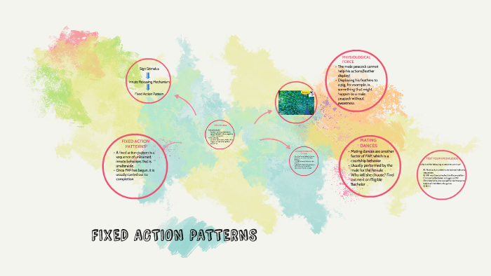 FIXED ACTION PATTERN by lusine mestdjian on Prezi