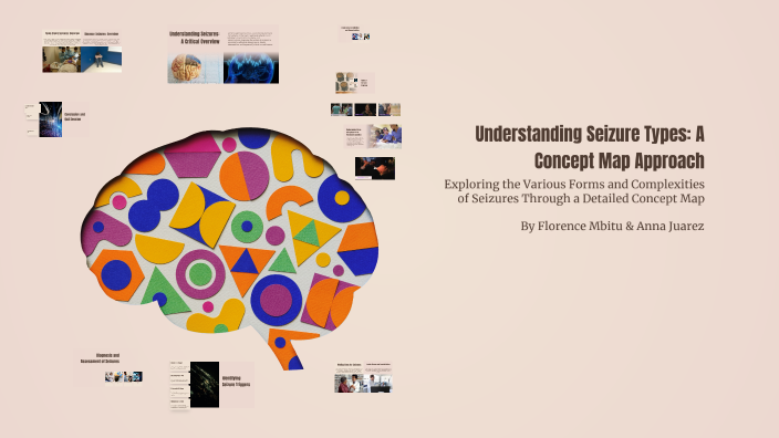 Final - Understanding Seizure Types: A Concept Map Approach by Future ...